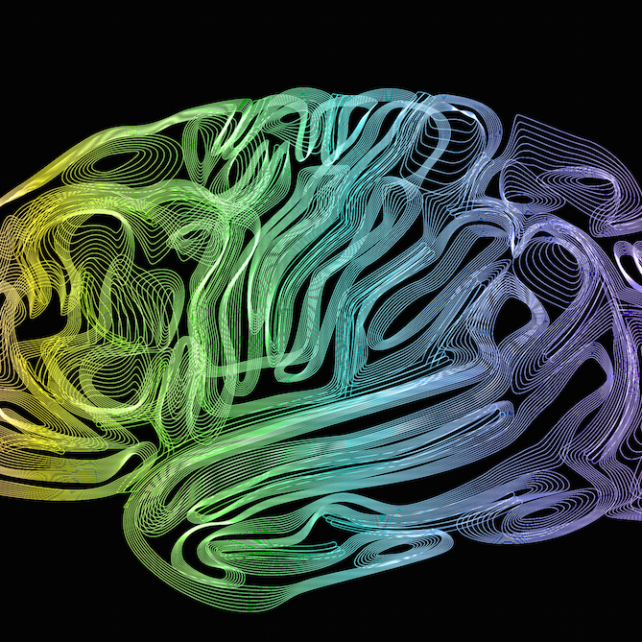 Mapping Our Brains is a Big Data Challenge | BrainStation®