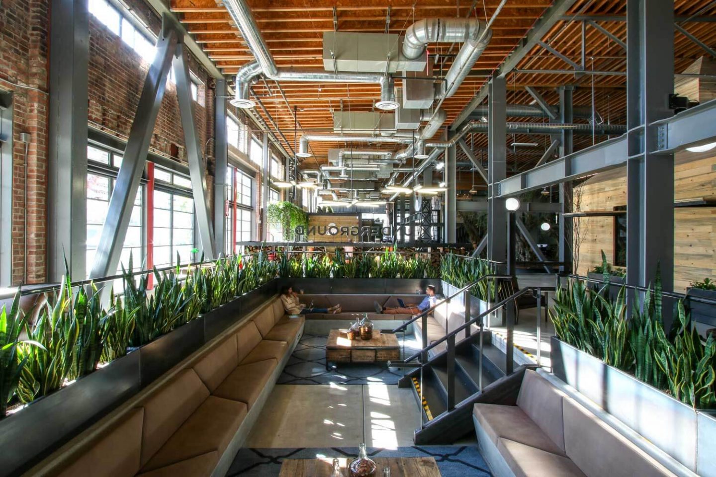 Underground Elephant’s San Diego Sanctuary | BrainStation®