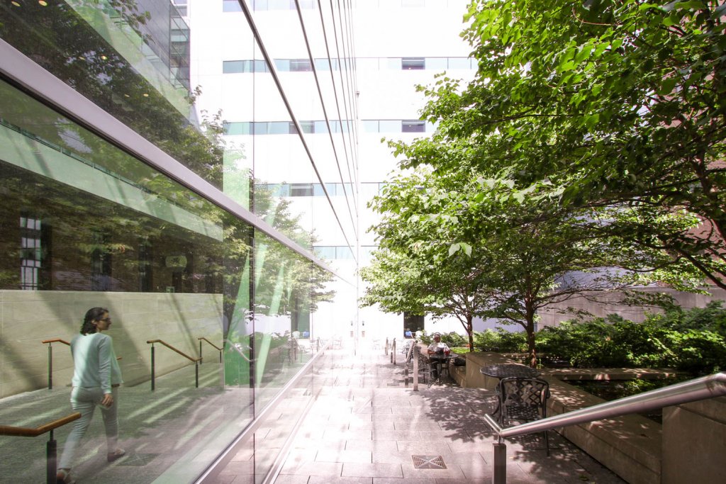 The Dynamic MaRS Discovery District in Downtown Toronto | BrainStation®