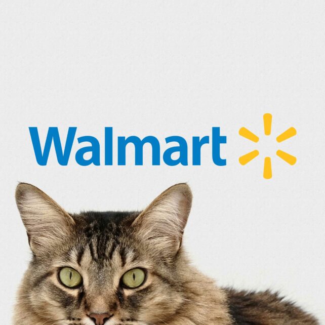 Walmart Launches Pet Care Insurance Hub | BrainStation®